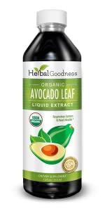 avocado leaf extract herbal supplements
