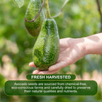 avocado seed powder for natural energy