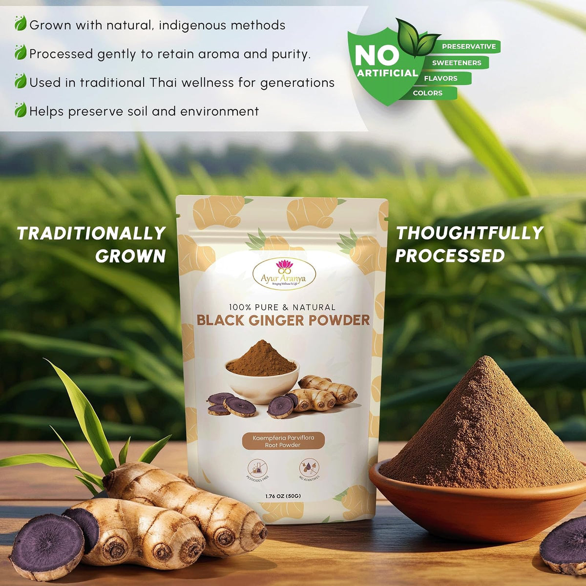 Ayur Aranya ginger powder for digestion