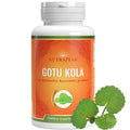 Ayurveda Gotu Kola capsules for wellness
