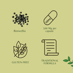 AYURVEDASHREE Boswellia for wellness