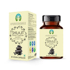 AYURVEDASHREE Shilajit extract capsules