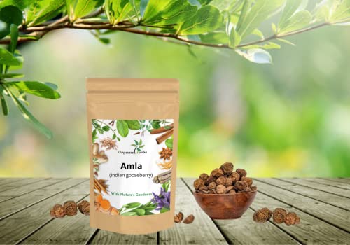 ayurvedic amla for energy boost