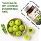 ayurvedic amla for healthy skin