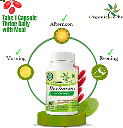 ayurvedic berberine for balanced nutrition
