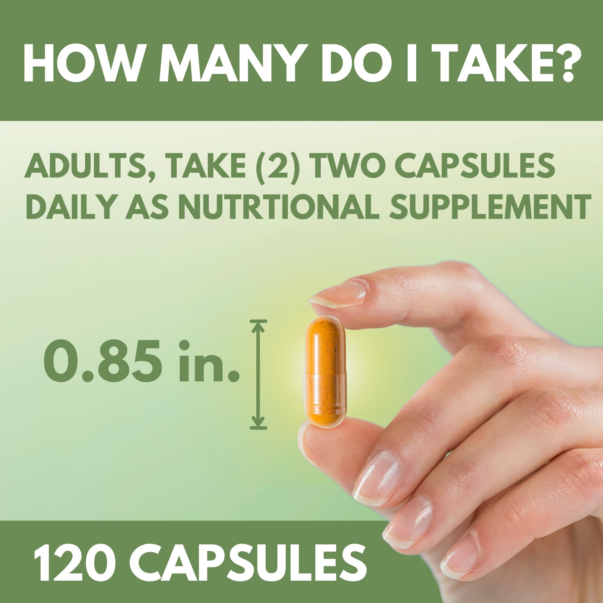 ayurvedic capsules for overall health