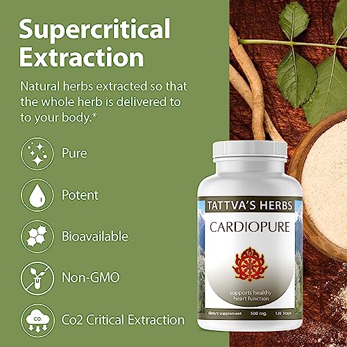 ayurvedic capsules for overall wellness
