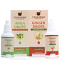 ayurvedic ginger immunity booster