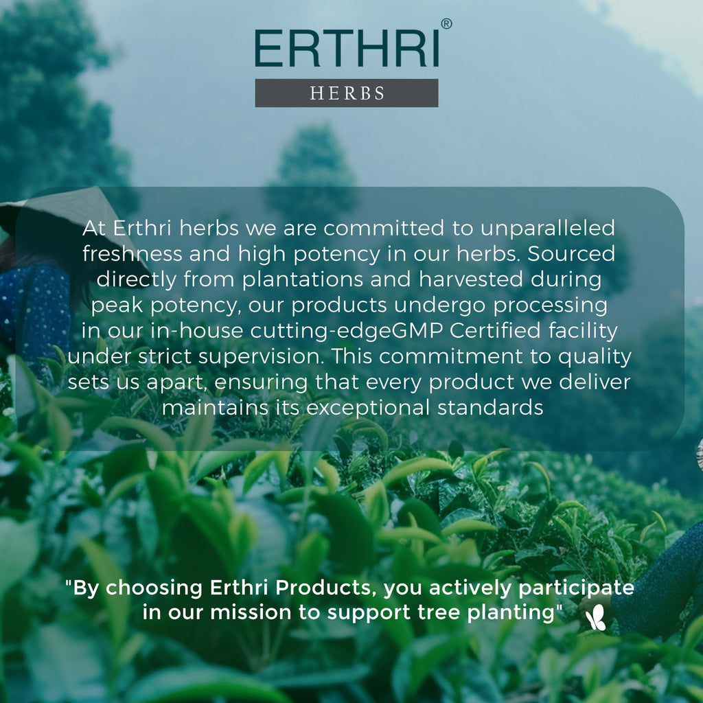 ayurvedic haritaki for holistic healing