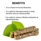 Ayurvedic herbal supplement for wellness