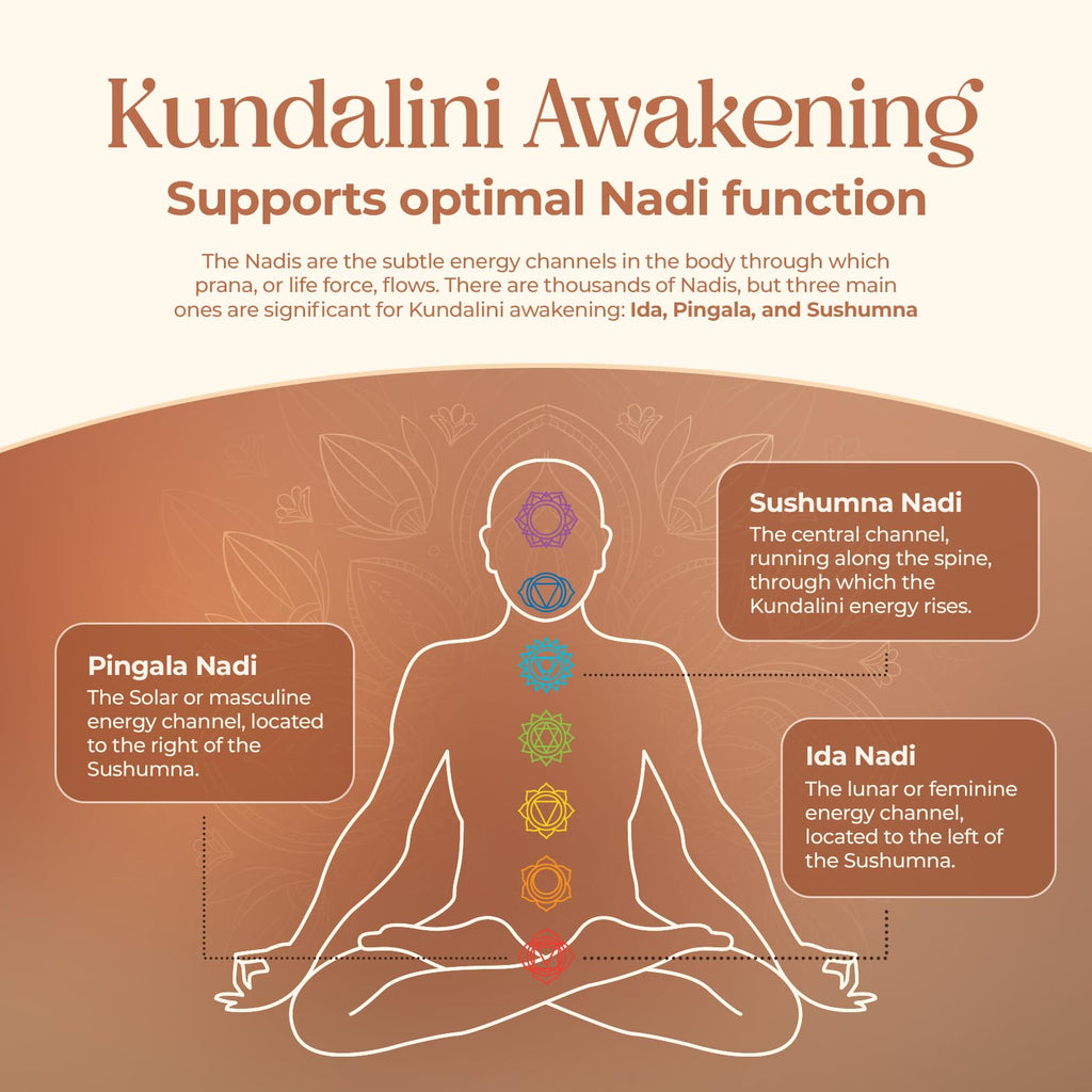 Ayurvedic herbal supplements for digestive health