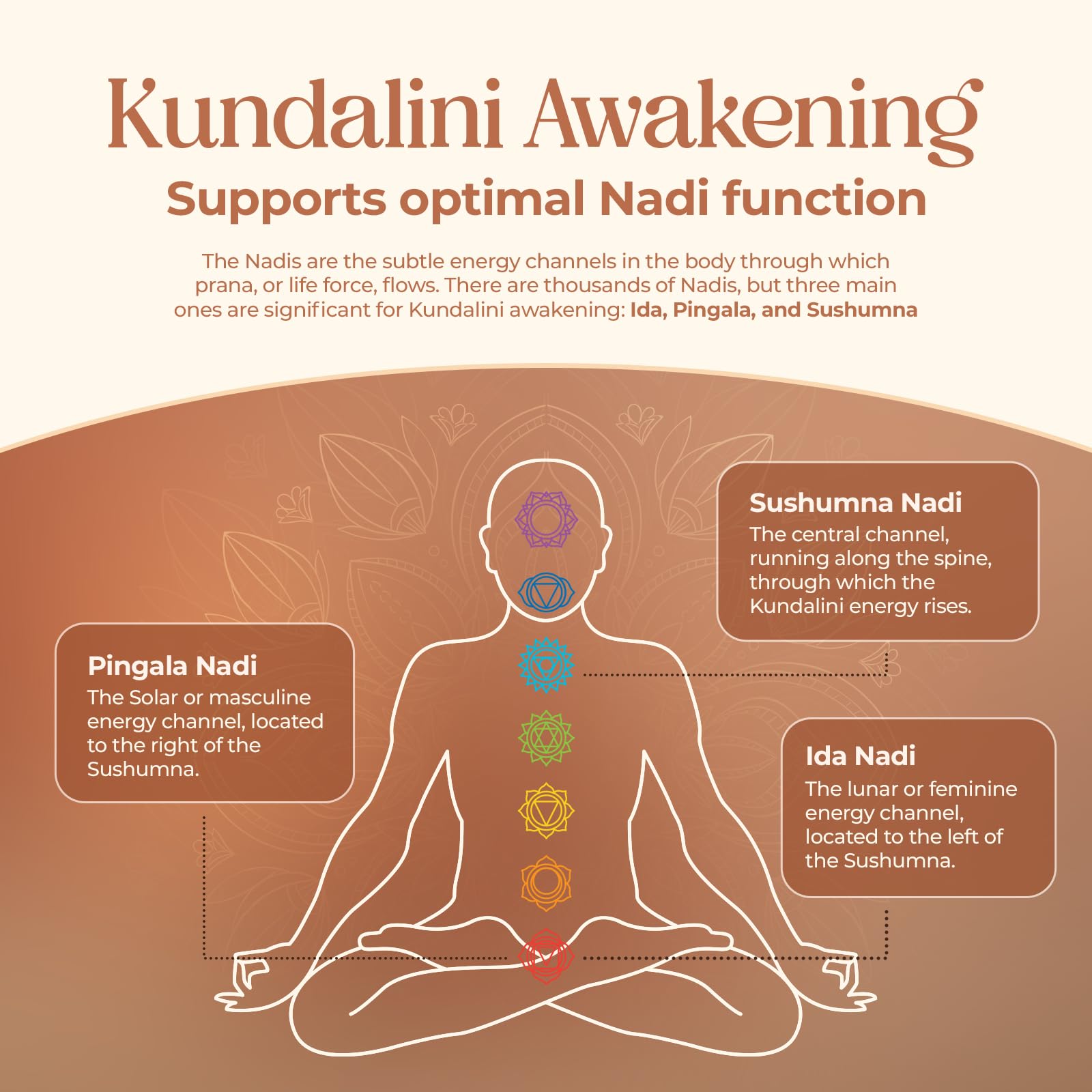 Ayurvedic herbal supplements for digestive health