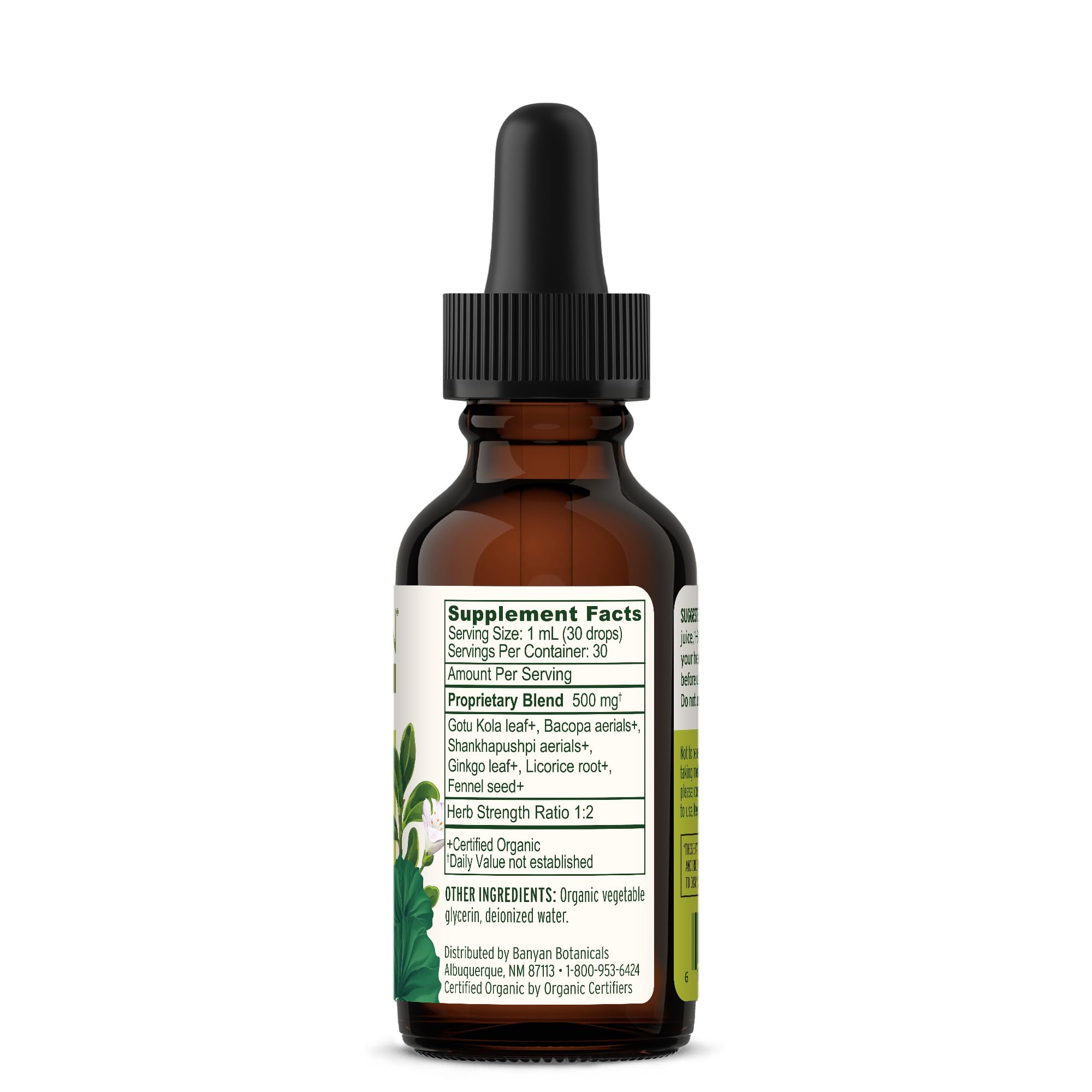 Ayurvedic herbs for cognitive function