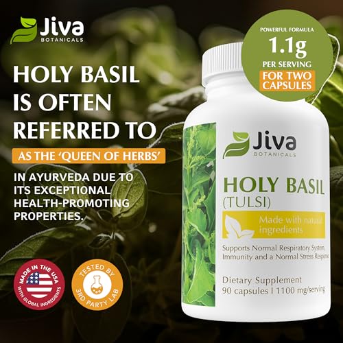 ayurvedic holy basil for immune support