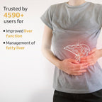 Ayurvedic liver support supplement