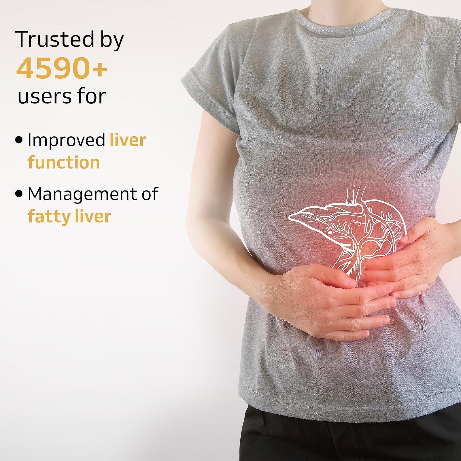 Ayurvedic liver support supplement