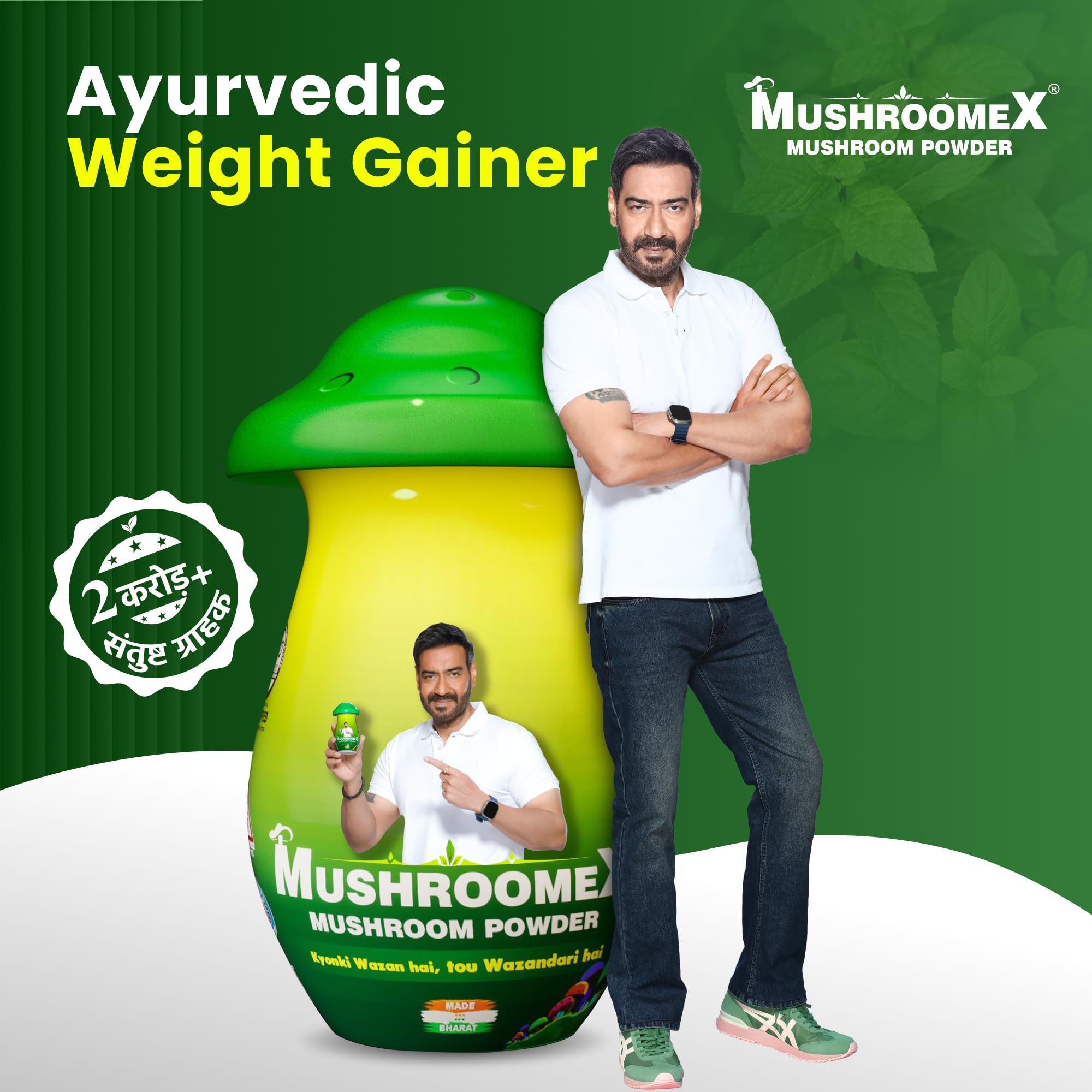 Ayurvedic mushrooms for wellness