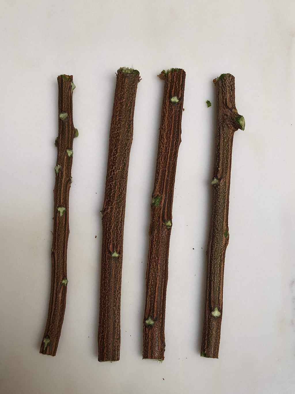 Ayurvedic neem twigs for oral care