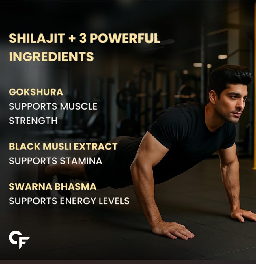 ayurvedic shilajit for stress relief