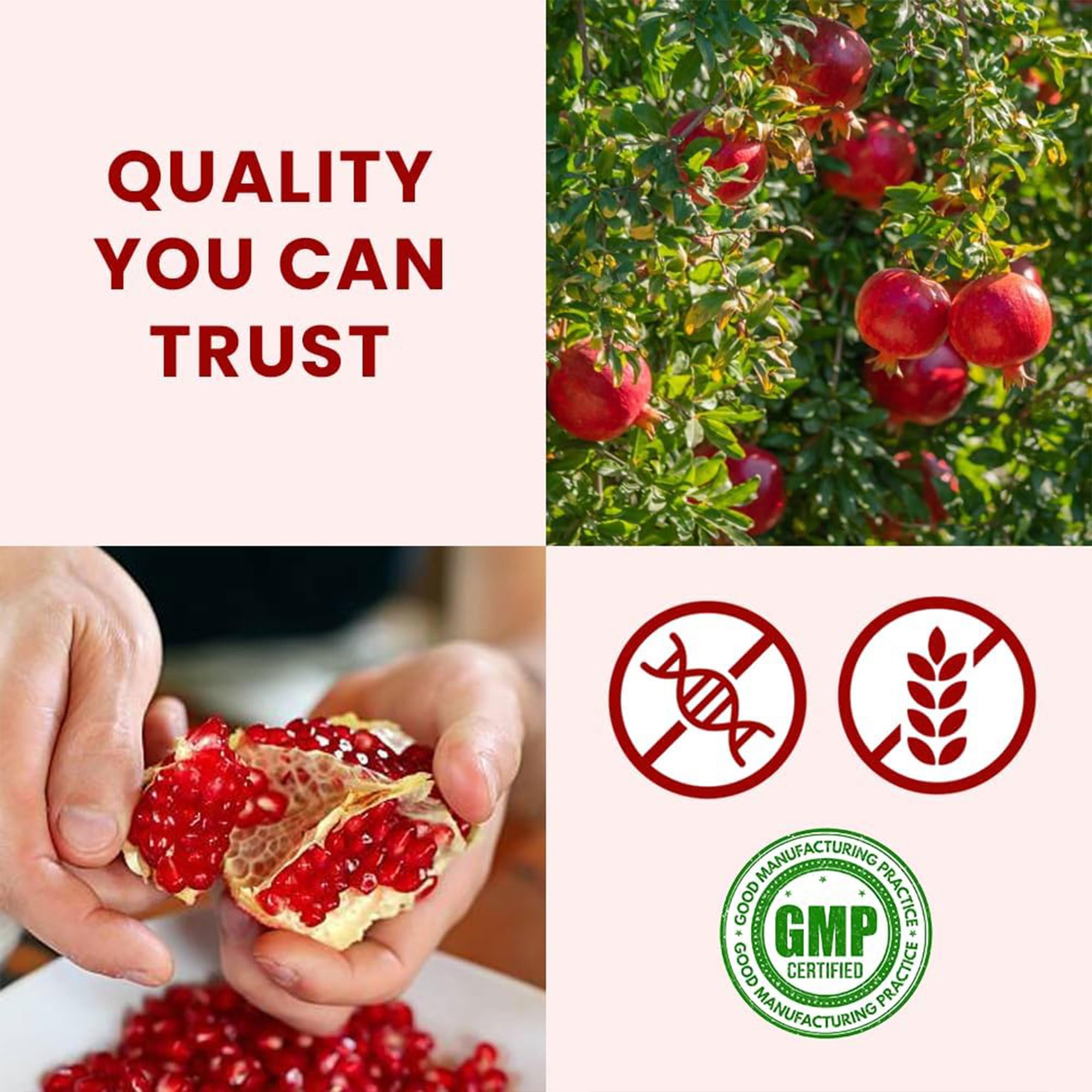 ayurvedic skincare with pomegranate powder