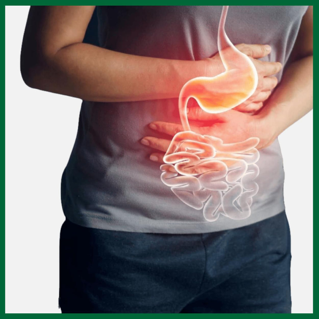 Ayurvedic supplement for kidney detox
