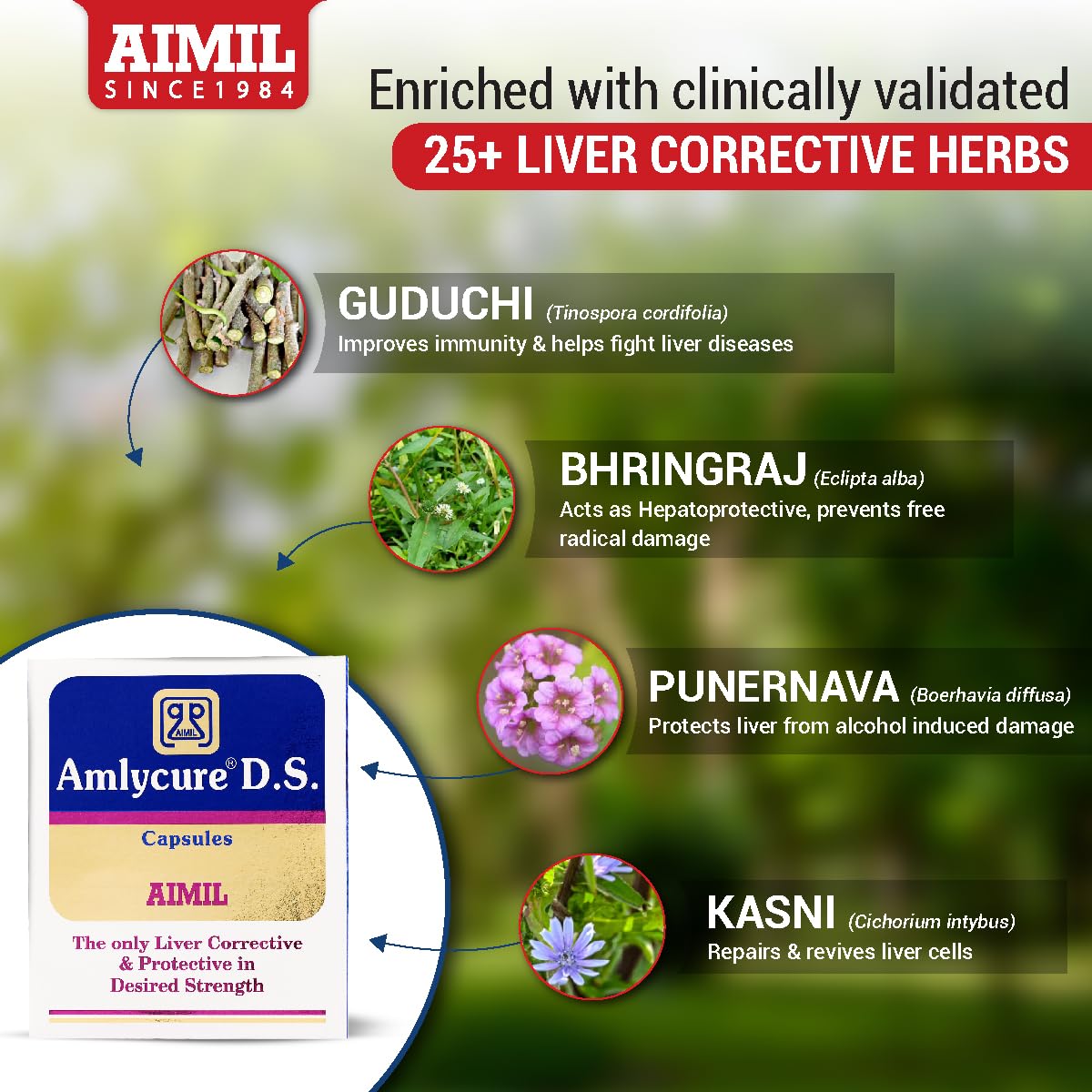 ayurvedic tablets for holistic healing