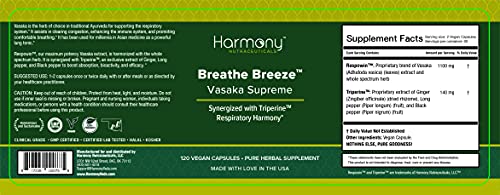 Ayurvedic vitamin and mineral blend
