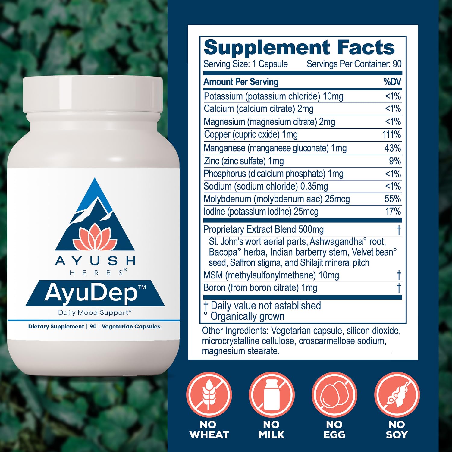 Ayush Herbs natural wellness formula
