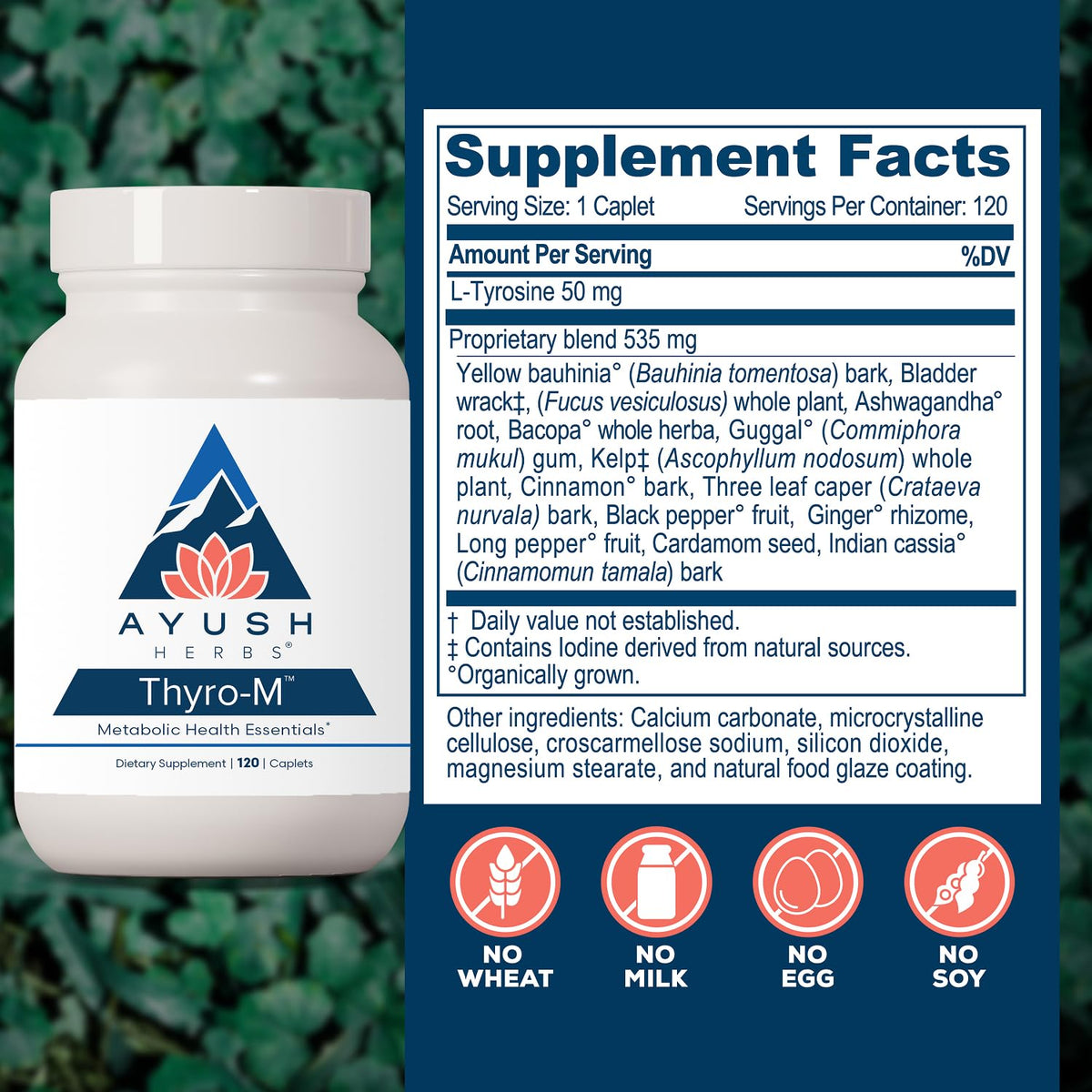 Ayush Herbs Thyro-M for hormonal balance