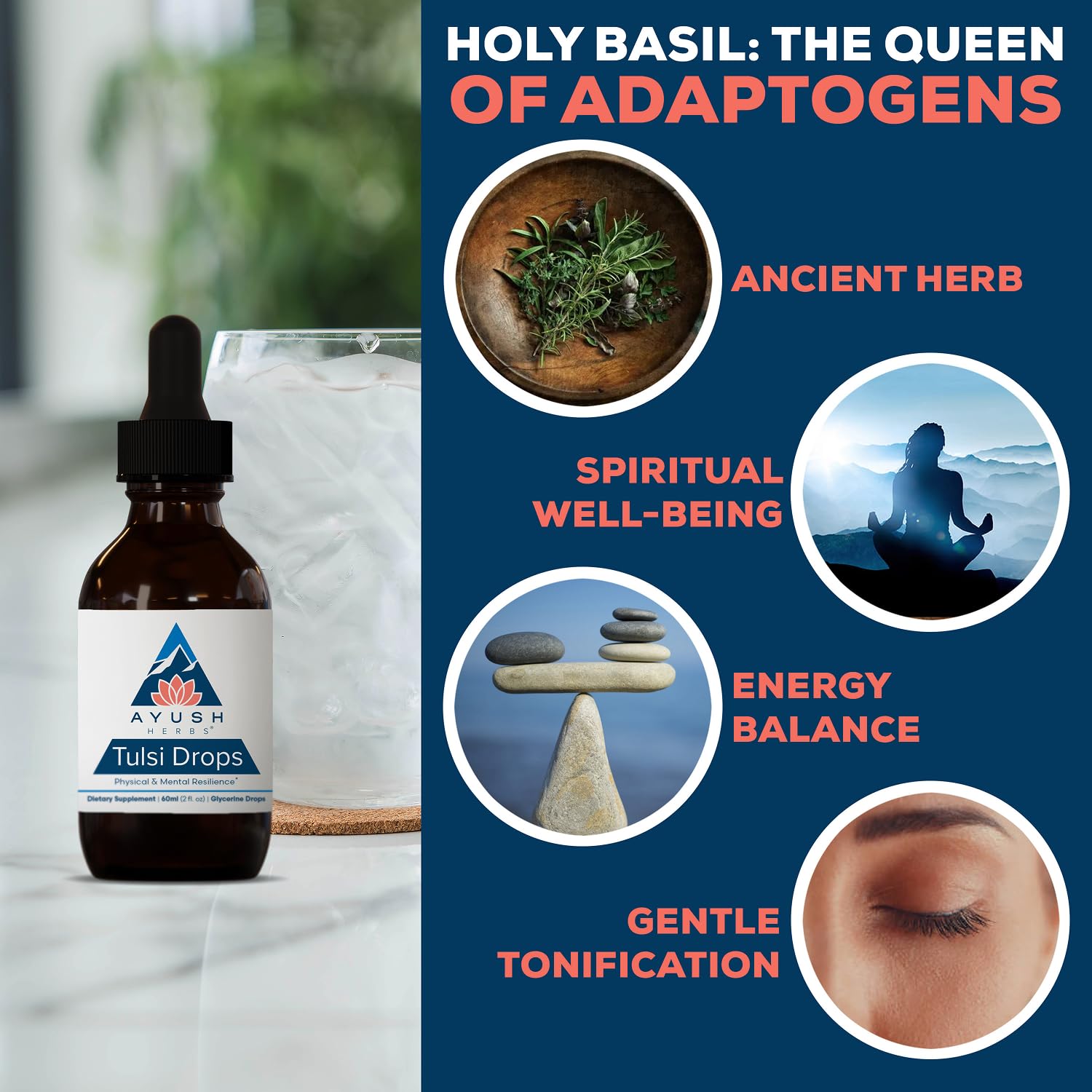 Ayush Herbs Tulsi for natural energy