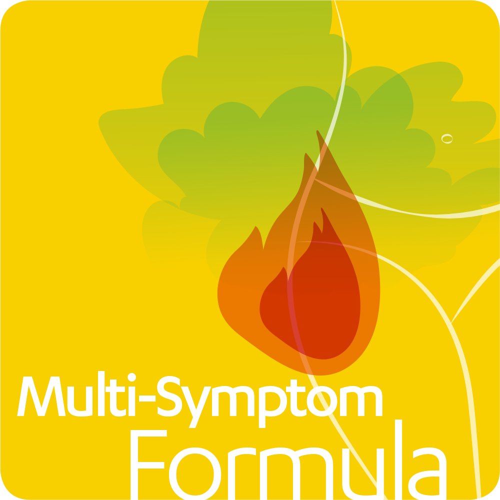 AZO Plus whole food multivitamin