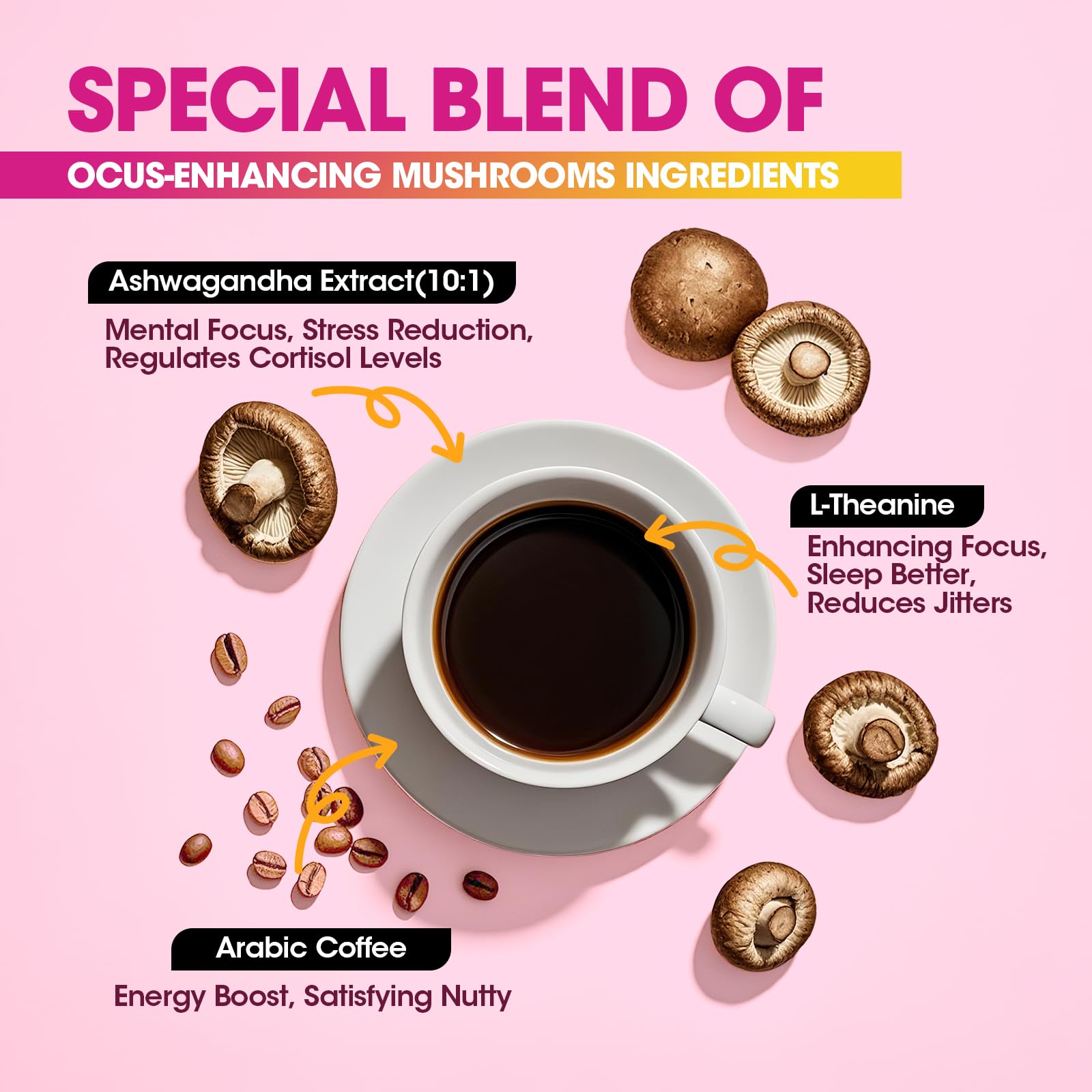 B BEWORTHS 10 mushroom blend