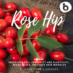 b Natural vitamin c for daily wellness