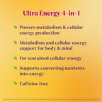 B12 and B Complex multivitamins for energy
