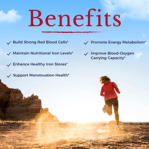 B12 and folate for iron support
