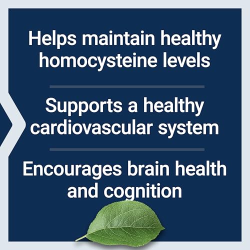 B2 B6 B12 folate for energy boost