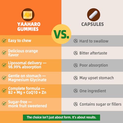 b2 gummies for daily wellness