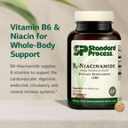 B6-Niacinamide for healthy metabolism