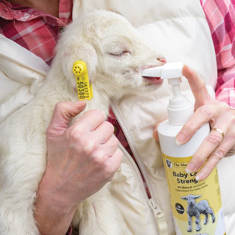 baby lamb strength nutritional formula