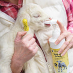 baby lamb strength nutritional formula