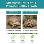 baby sulcata food with added calcium