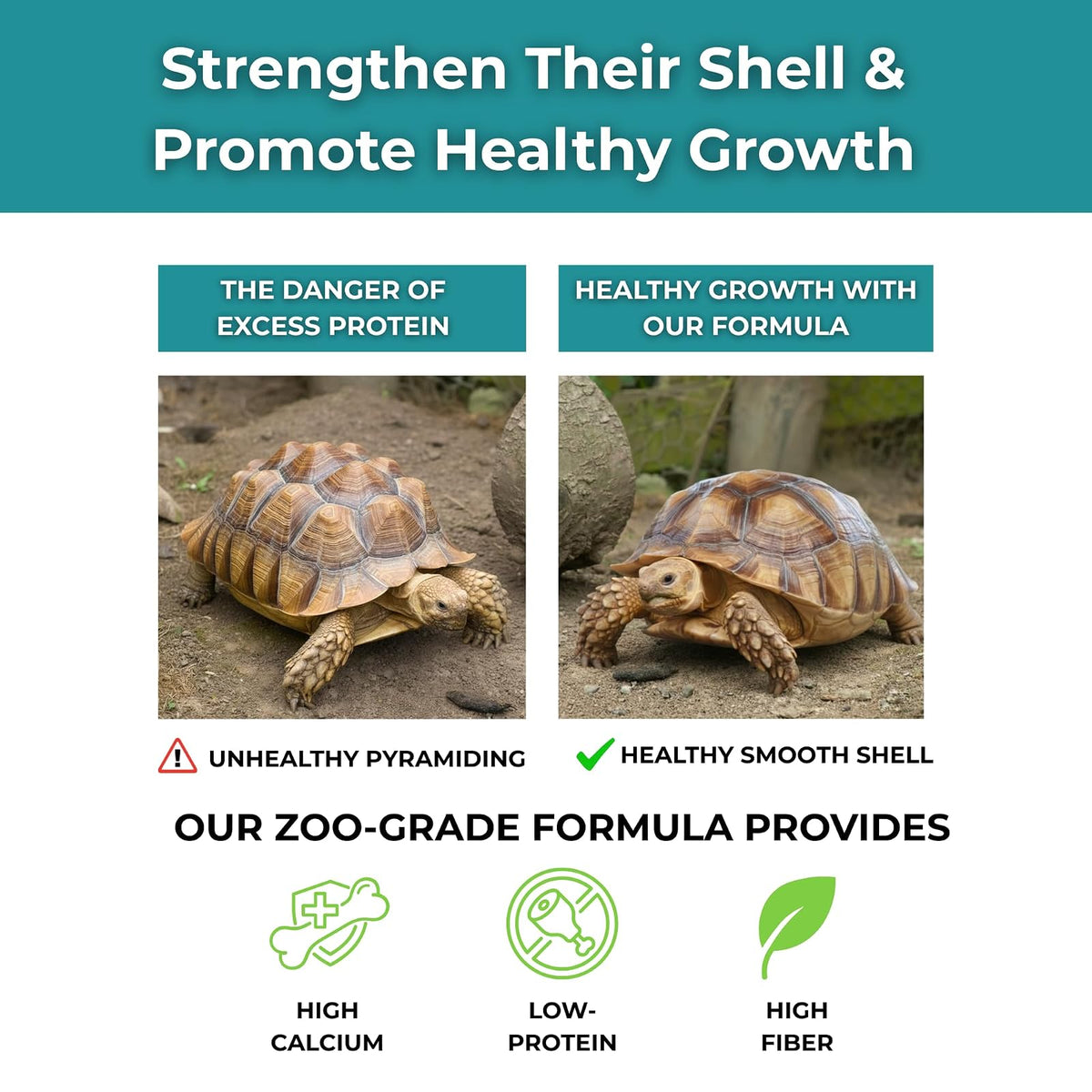 baby sulcata food with added calcium