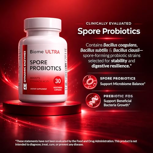 Bacillus coagulans for gut balance