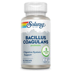 Bacillus Coagulans probiotic for digestion