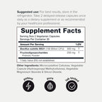 Bacillus Subtilis for daily wellness