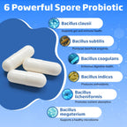 Bacillus subtilis probiotic benefits