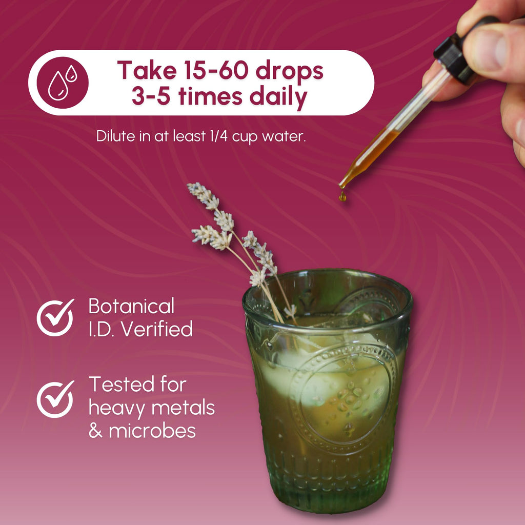 Back to School elderberry for vitality