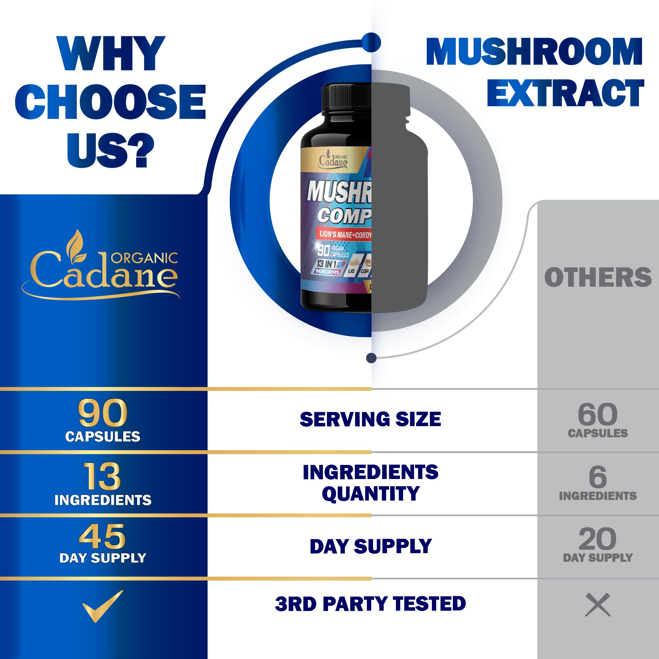 Bacopa and mushrooms for brain health