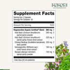 bacopa holy basil benefits