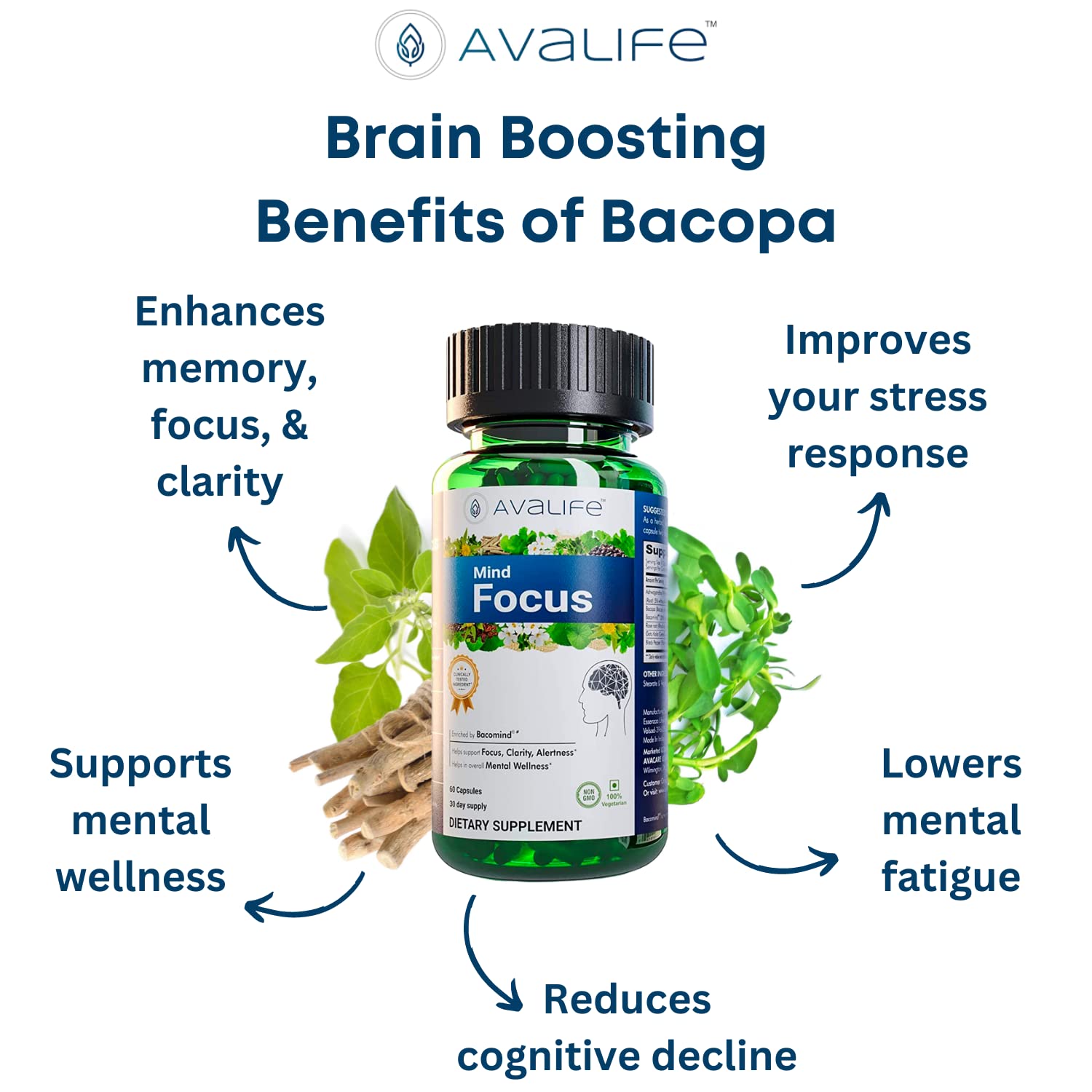 Bacopa infused blended vitamin supplements
